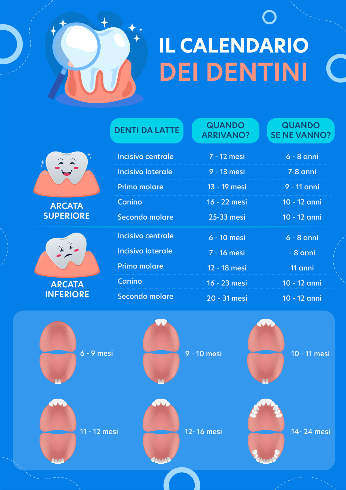 Il calendario dei dentini da latte | Quando spuntano i dentini